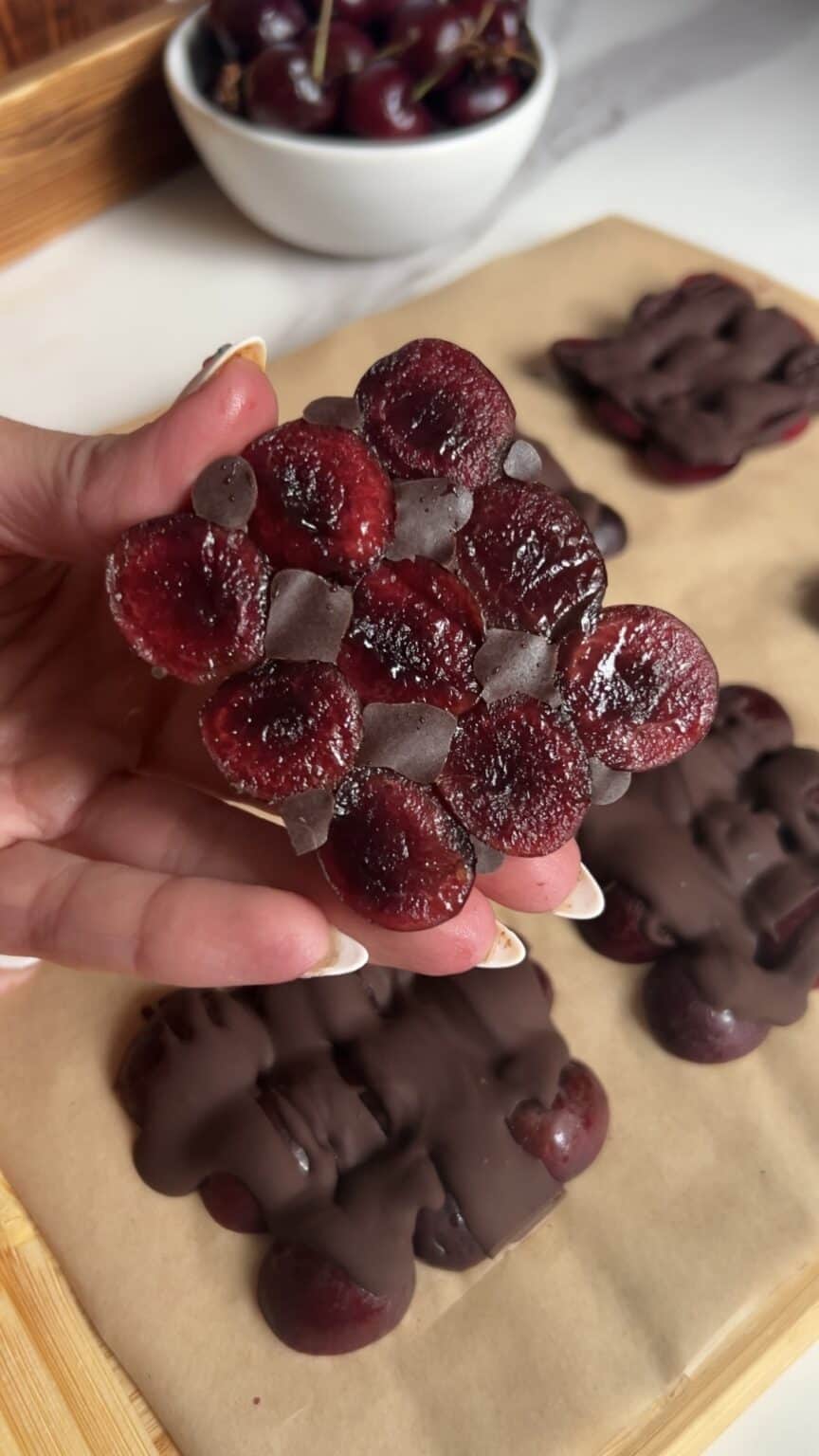 Healthy Chocolate Cherry Protein Ice Cream Sandwiches (Naturally ...